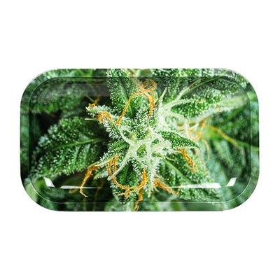 Medium Rolling Trays | Vape World Australia